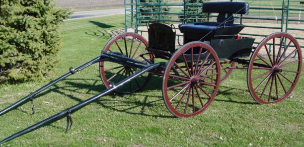 Runabout Used Horse Drawn Buggy