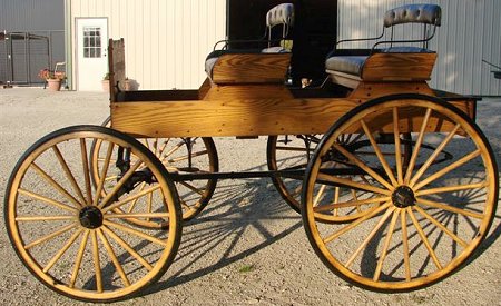 Two Seated Spring Wagon for Sale